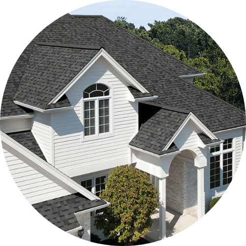 Trang chủ - M-GREEN