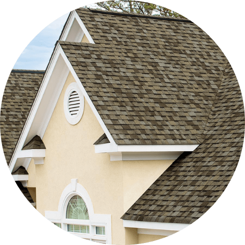 Trang chủ - M-GREEN